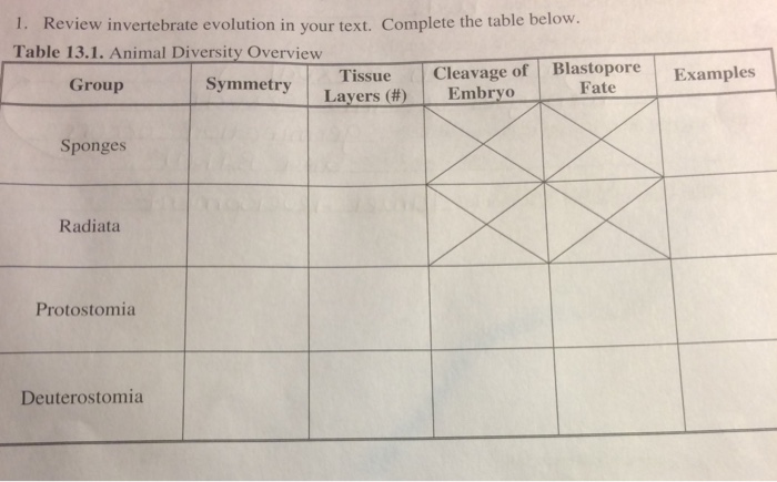 Solved Review invertebrate evolution in your text. Complete | Chegg.com