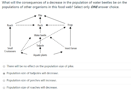 Solved What will the consequences of a decrease in the | Chegg.com