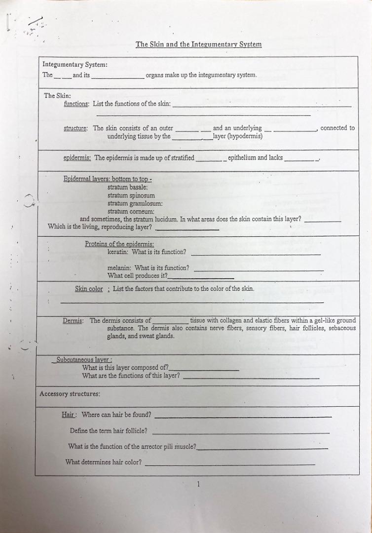 Solved F The Slein and the Integumentary System | Chegg.com