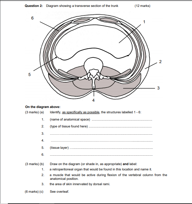 Solved Question 2: Diagram showing a transverse section of | Chegg.com