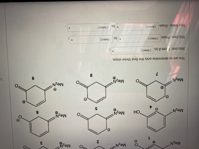 Solved MeN Molecule A is listed above. You are to give the | Chegg.com