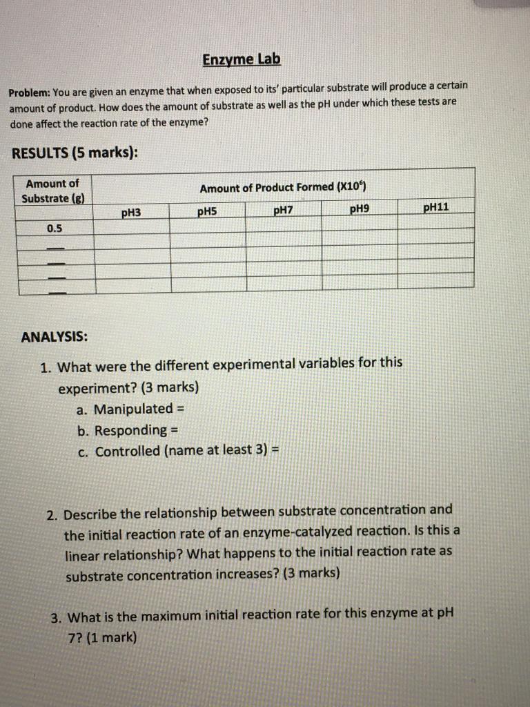 Solved What should be my answers in my enzyme lab? ( Results | Chegg.com