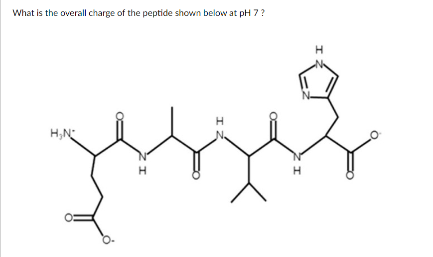 Solved What is the overall charge of the peptide shown below | Chegg.com