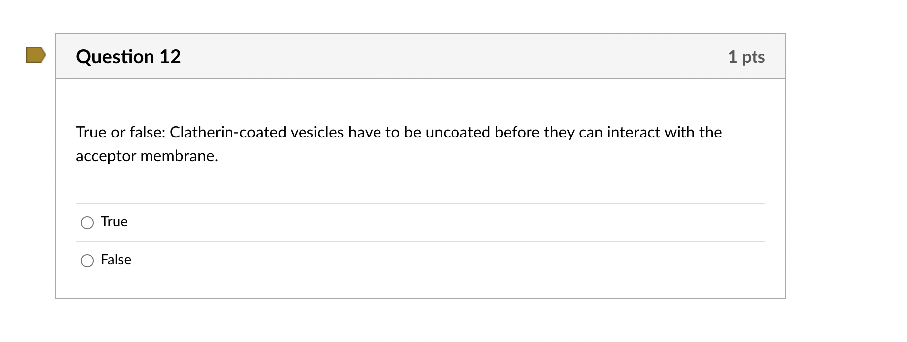 Solved True or false: Clatherin-coated vesicles have to be | Chegg.com