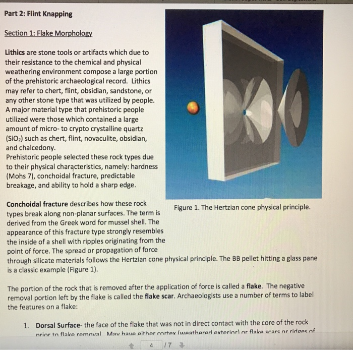 Part 2: Flint Knapping Section 1: Flake Morphology | Chegg.com