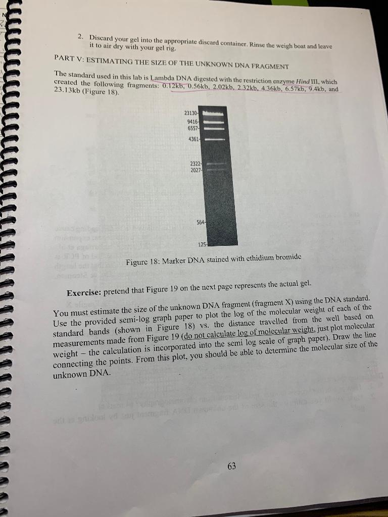 2. Discard your gel into the appropriate discard | Chegg.com