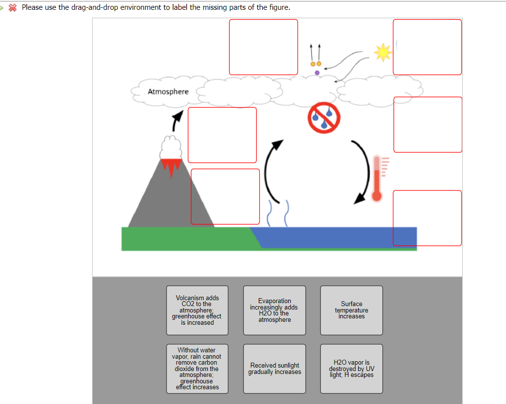 Solved Please use the drag-and-drop environment to label the | Chegg.com