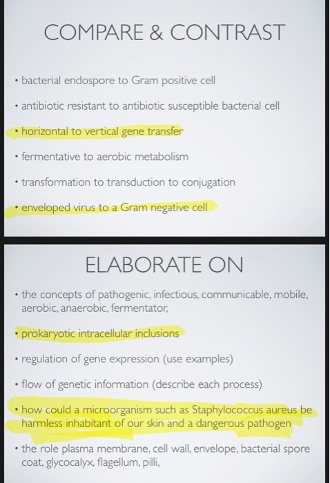 Solved COMPARE & CONTRAST bacterial endospore to Gram | Chegg.com