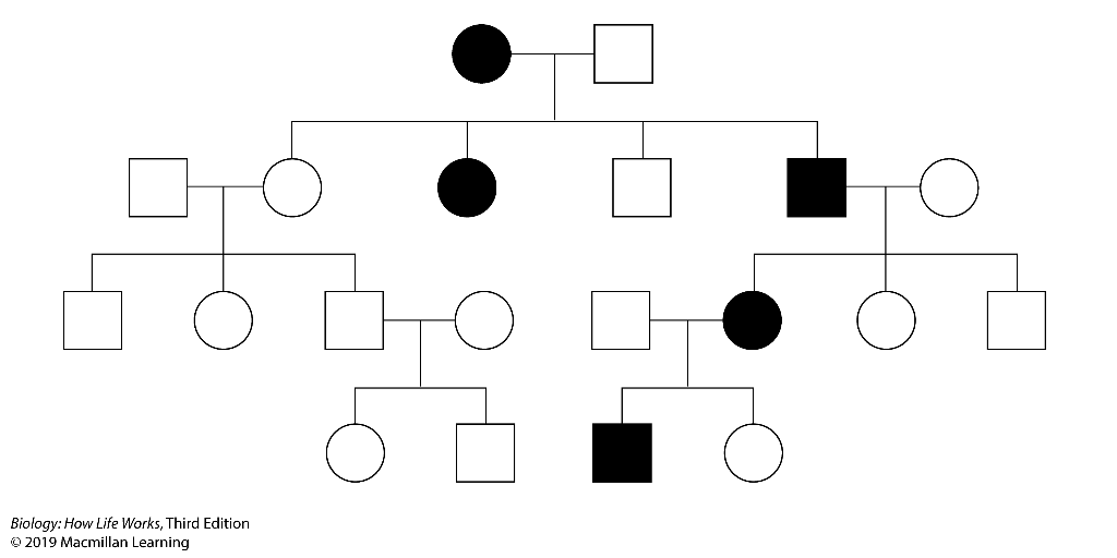 1. Assuming that the trait represented by the | Chegg.com