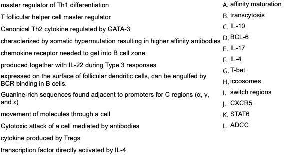 Solved master regulator of Th1 differentiation A. affinity | Chegg.com