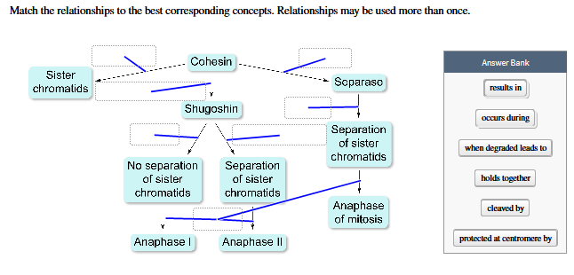 Solved Match the relationships to the best corresponding | Chegg.com