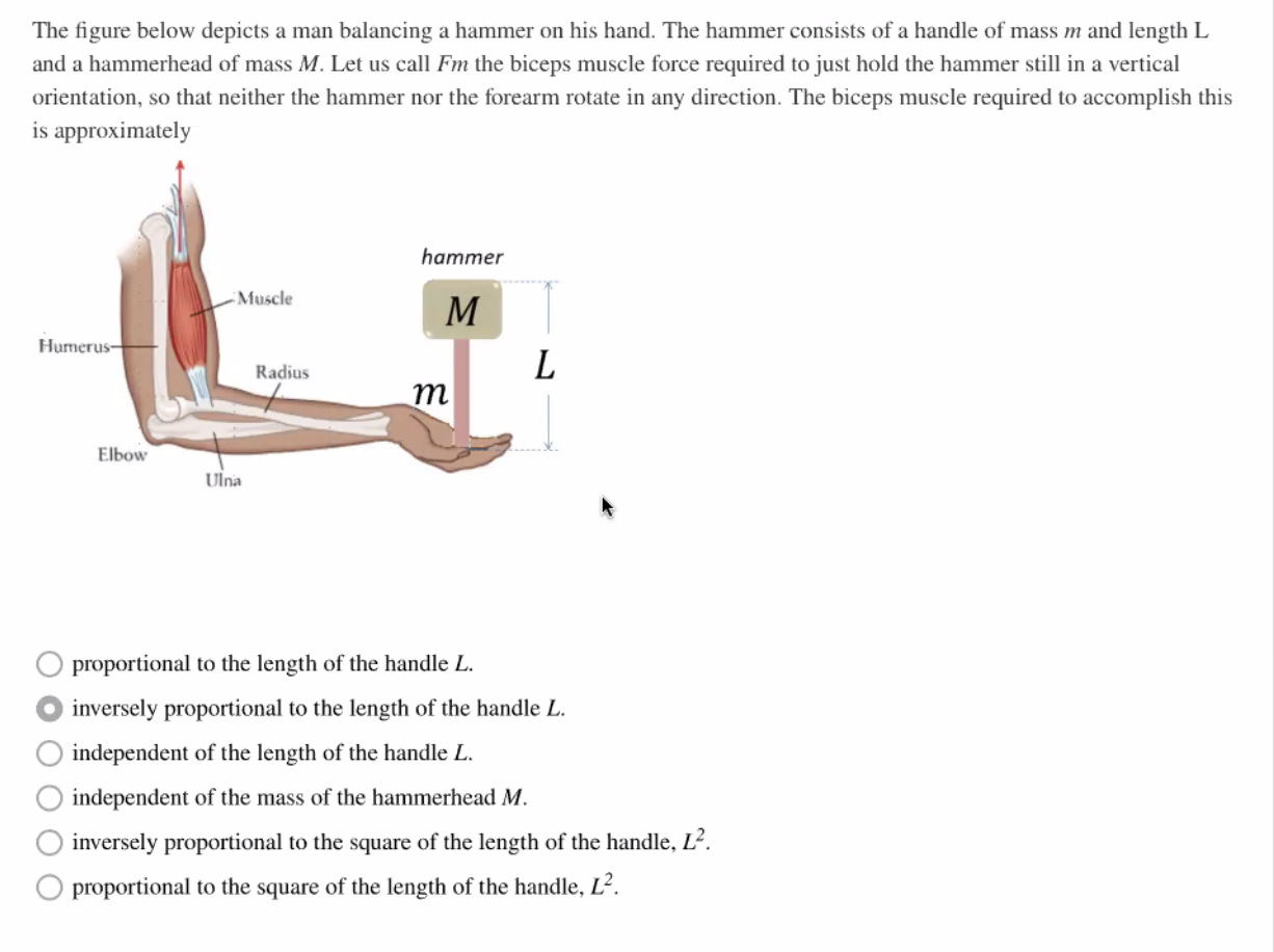 Solved The figure below depicts a man balancing a hammer on | Chegg.com