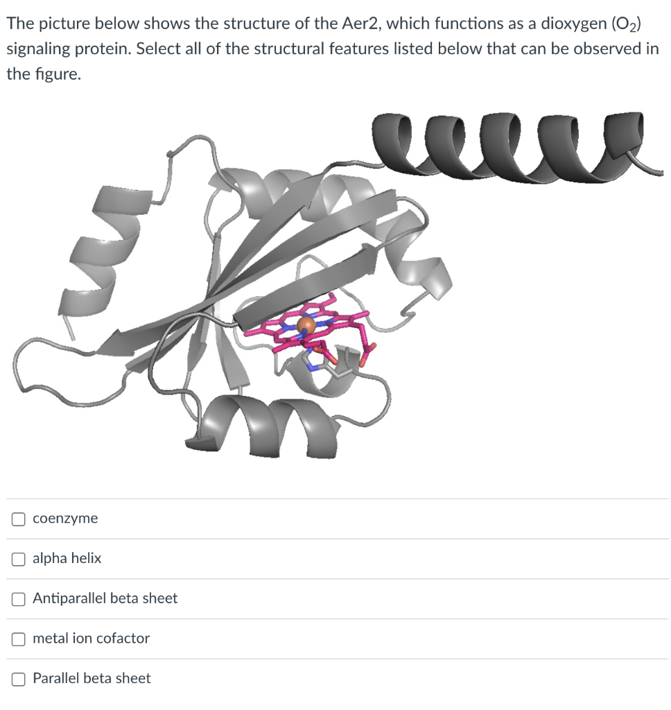 Solved The picture below shows the structure of the Aer2, | Chegg.com