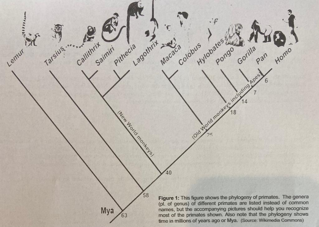 Solved Question : Using only the information in Figure 1, | Chegg.com