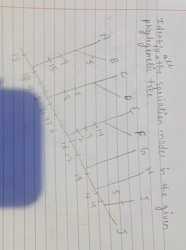 Solved Identify 1 the speciation modes in the given | Chegg.com