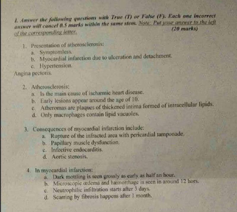 Solved 1 Swer The Following Questions With True T Or