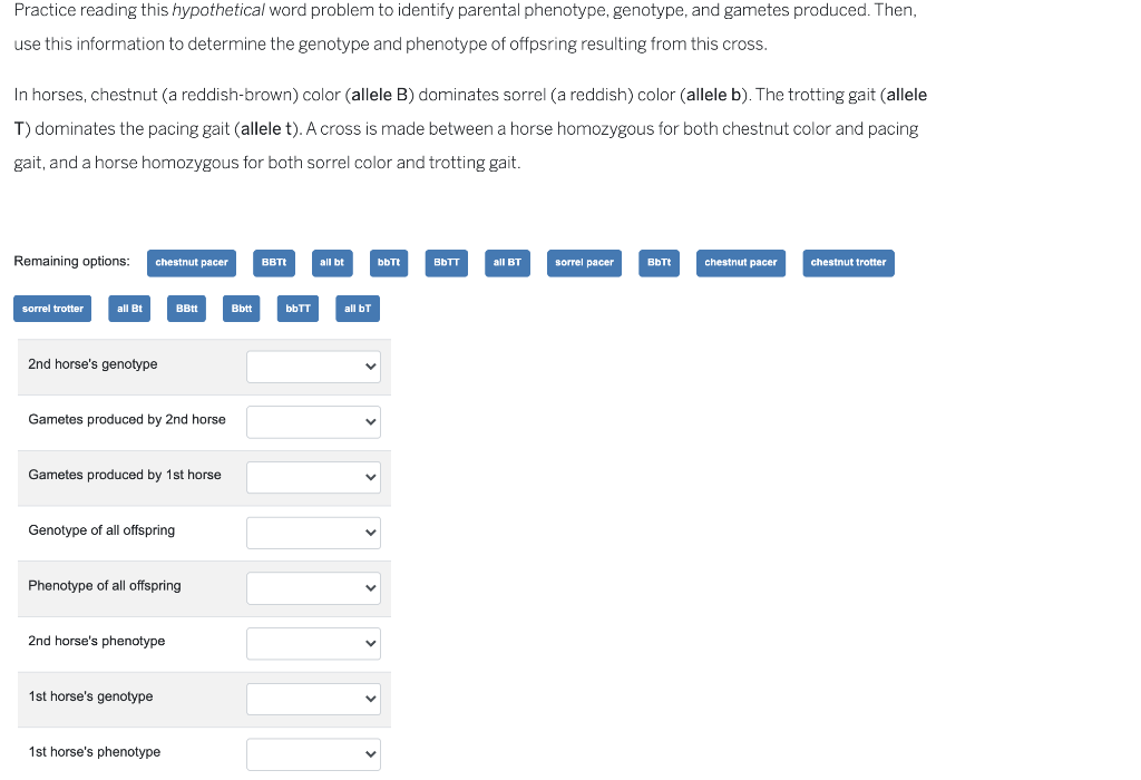 Solved Practice reading this hypothetical word problem to | Chegg.com