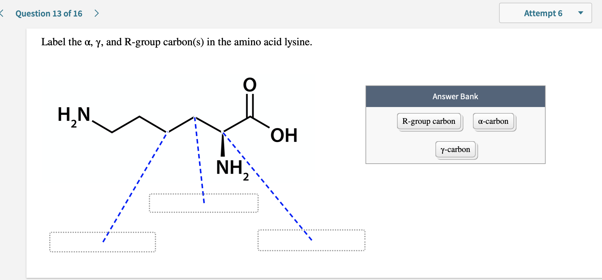 Lysine R Group