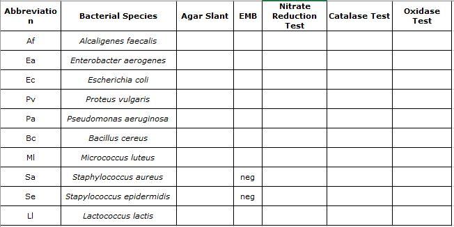 Solved For the listed bacteria please state if the bacteria | Chegg.com