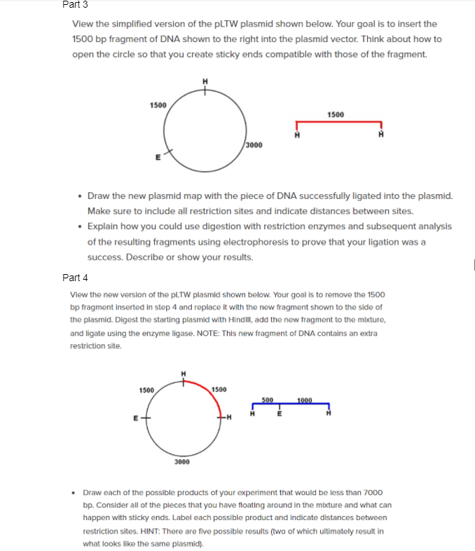 Part 3 View the simplified version of the PLTW | Chegg.com