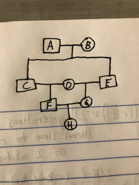Solved What is the inbreeding coefficient of individual H? | Chegg.com