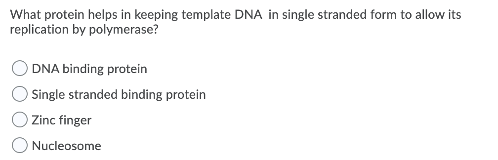 Solved What protein helps in keeping template DNA in single | Chegg.com