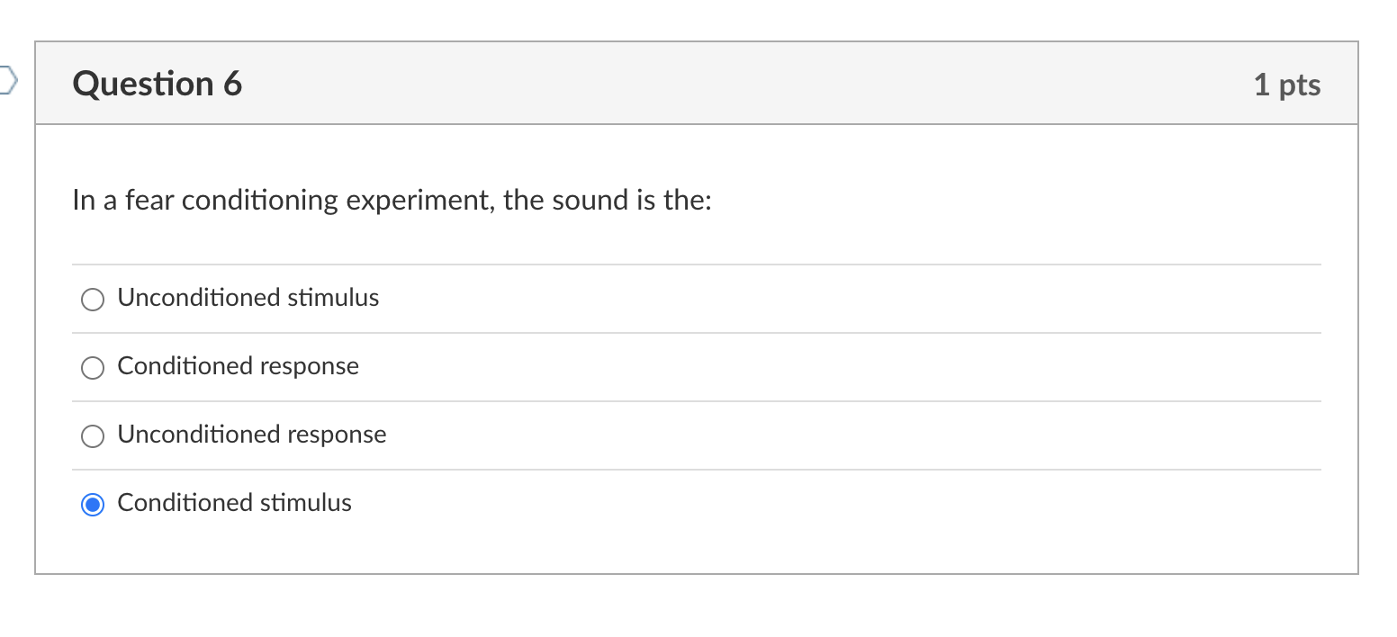 Solved > Question 6 In a fear conditioning experiment, the | Chegg.com