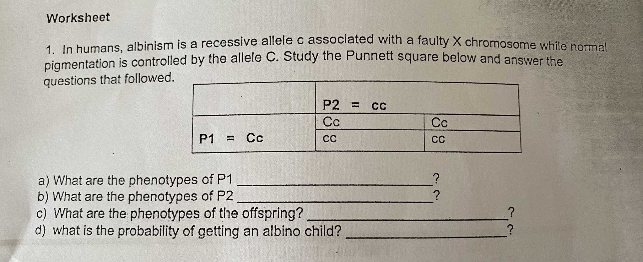 Solved 1. In humans, albinism is a recessive allele c | Chegg.com