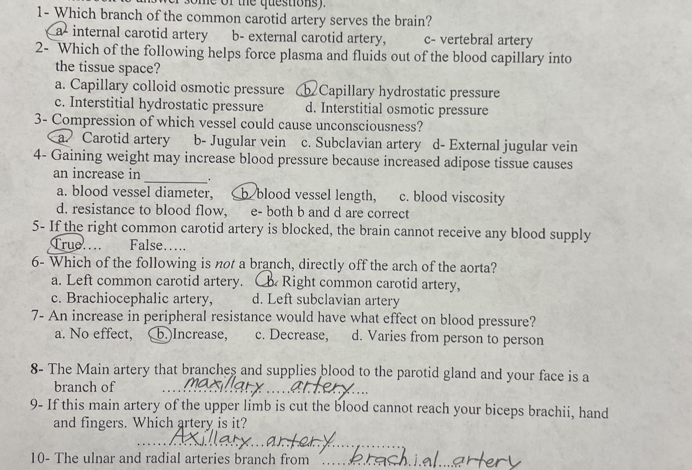 Solved 1- Which branch of the common carotid artery serves | Chegg.com