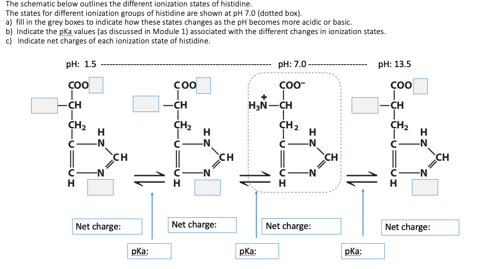 Solved The schematic below outlines the different ionization | Chegg.com