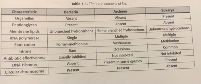 Solved Convert table 3-1 into a character matrix where you | Chegg.com