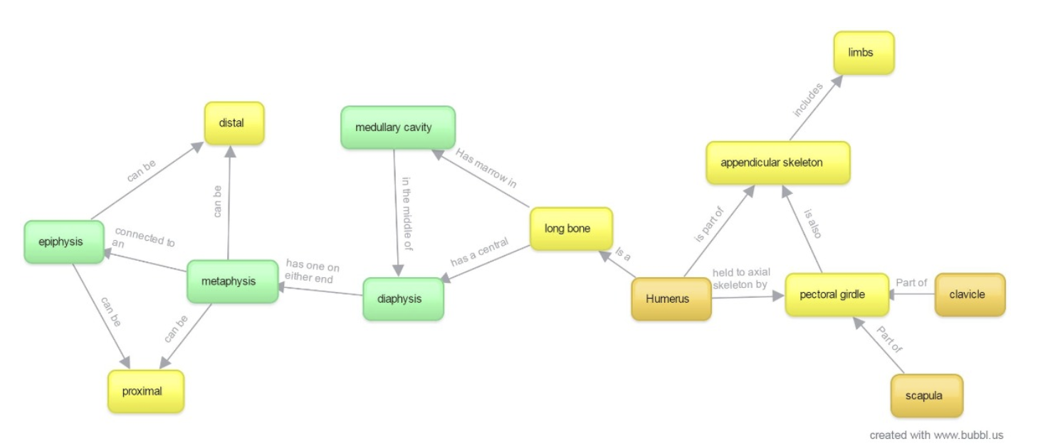 Solved Here is an example of a concept map. Create a | Chegg.com