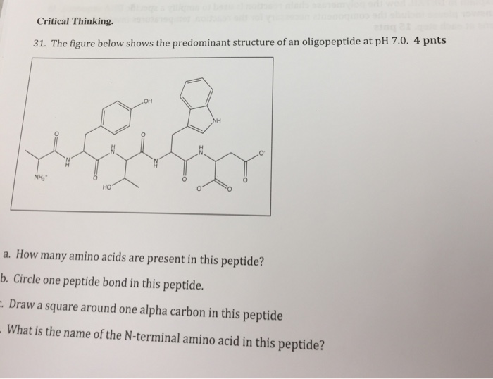 Solved The figure below shows the predominant structure of | Chegg.com