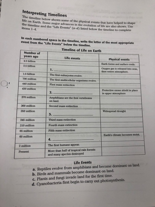 Solved Interpreting Timelines The e timeline below shows | Chegg.com