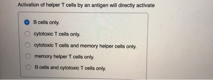 Solved Activation of helper T cells by an antigen will | Chegg.com