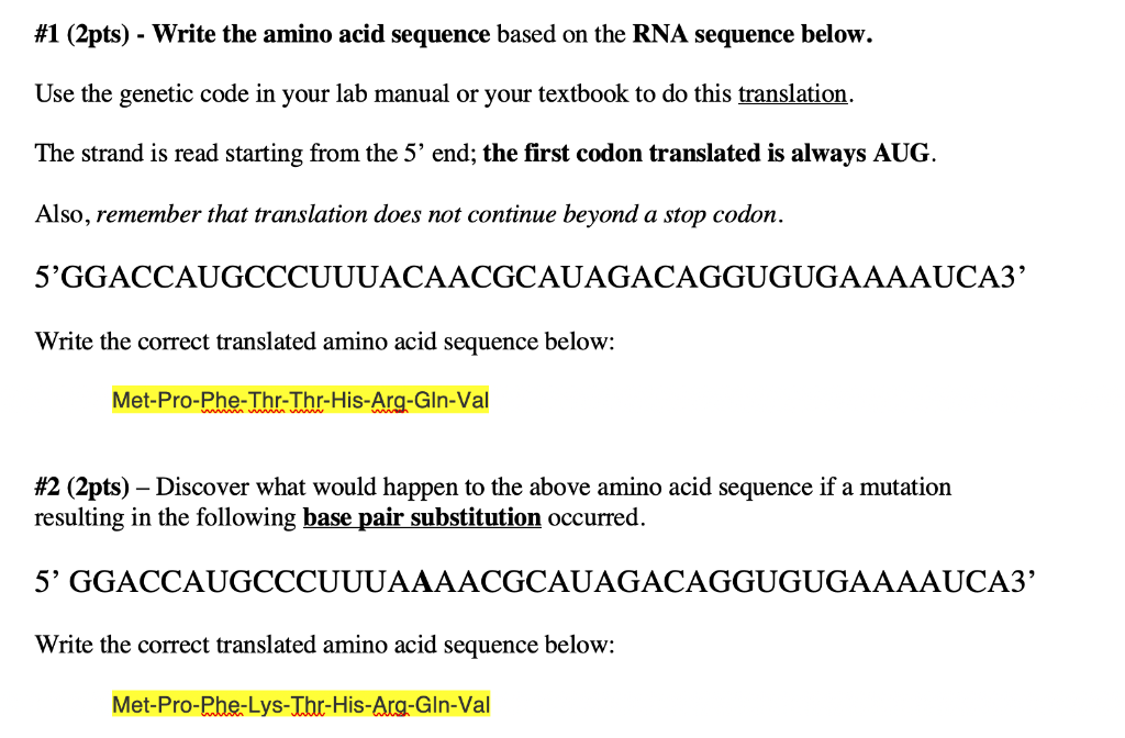 Solved #1 (2pts) - Write the amino acid sequence based on | Chegg.com