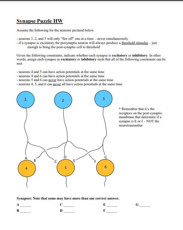 Solved Synapse Puzzle HW Assume the following for the | Chegg.com