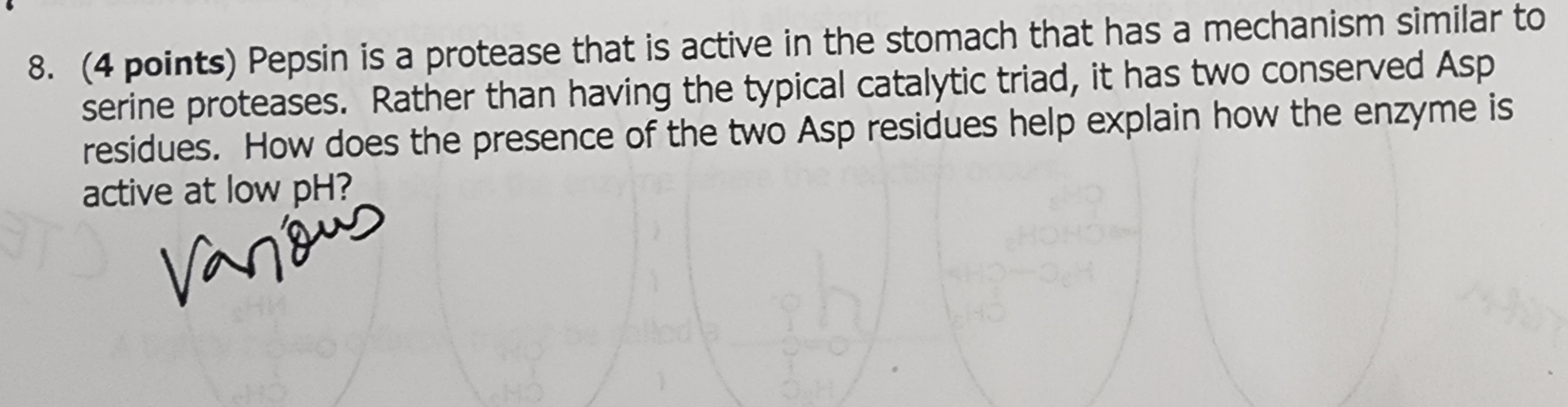 Solved 8. (4 points) Pepsin is a protease that is active in | Chegg.com