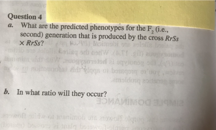 Solved Question 4 a. What are the predicted phenotypes for | Chegg.com