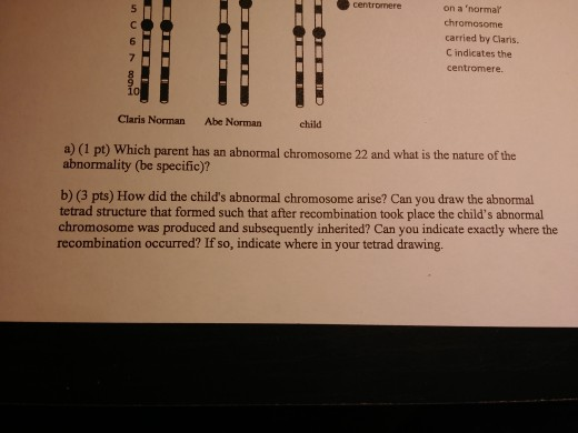 Solved a. a monosomic b. a trisomic c. an autotetraploid d. | Chegg.com