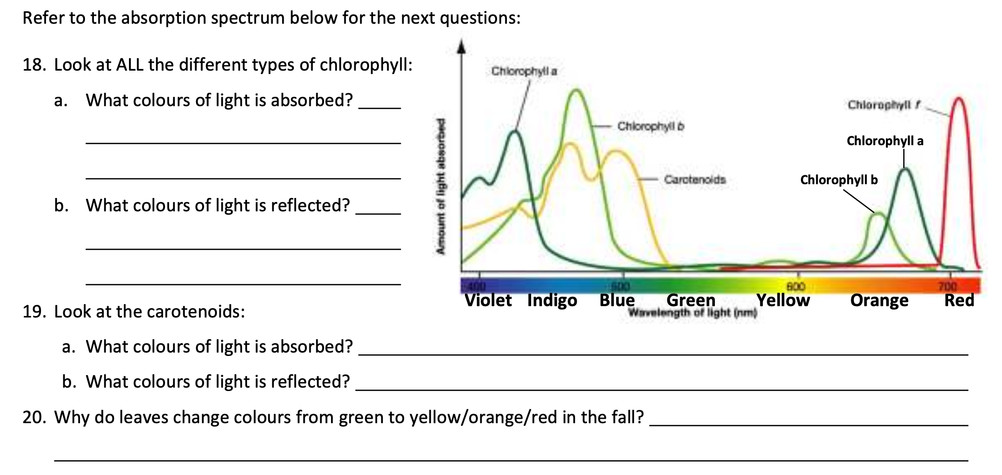 Solved Refer to the absorption spectrum below for the next | Chegg.com