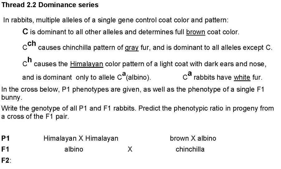 Solved Thread 2.2 Dominance series In rabbits, multiple | Chegg.com