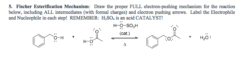 Solved 5. Fischer Esterification Mechanism: Draw the proper | Chegg.com