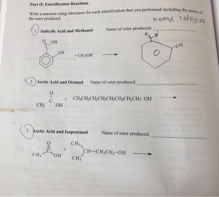 Solved Part II: Esterification Reactions Write a reaction | Chegg.com
