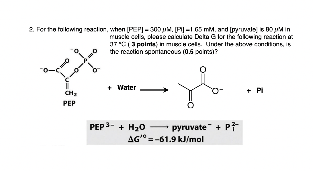Solved 2. For the following reaction, when [PEP] = 300 JM, | Chegg.com