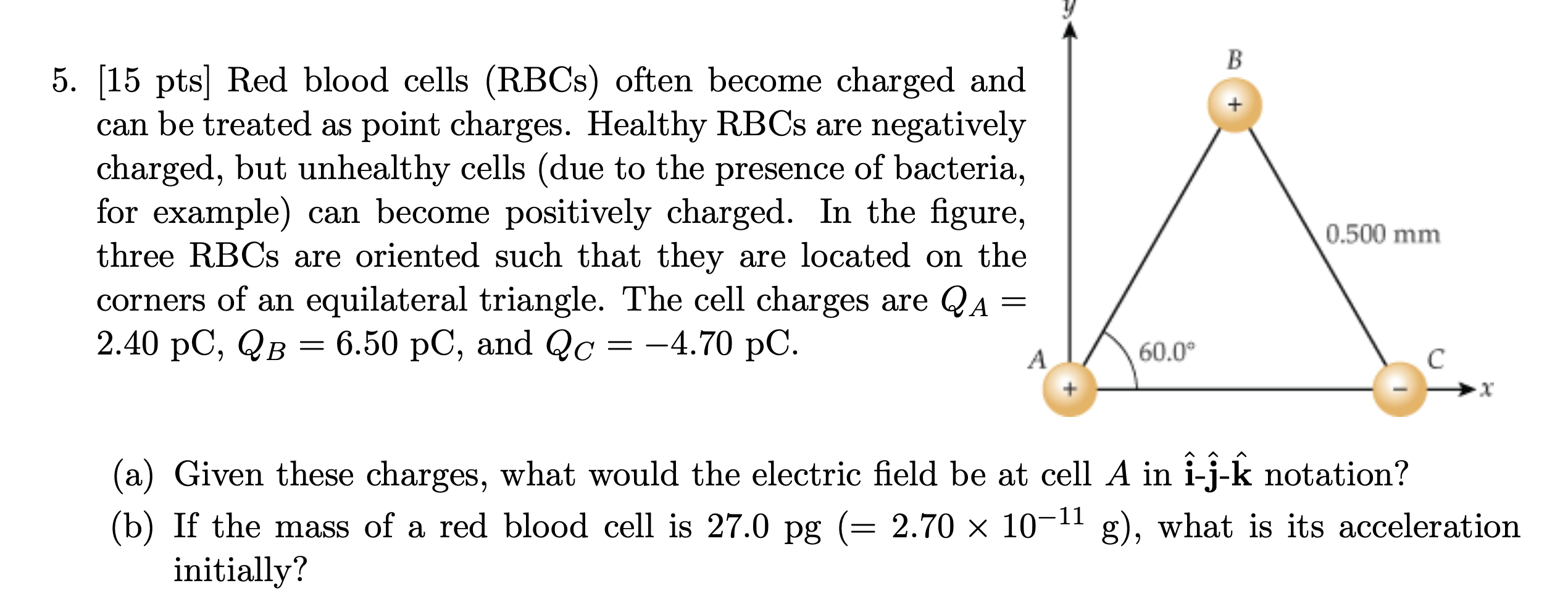 Solved В + 5. (15 pts] Red blood cells (RBCs) often become | Chegg.com
