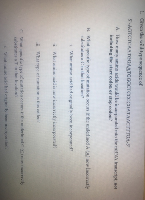 Solved 1. Given the wild-type sequence of | Chegg.com