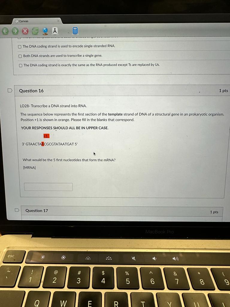 Solved The DNA coding strand is used to encode | Chegg.com
