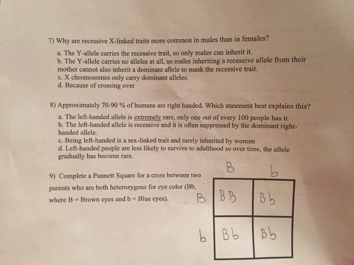 Solved Why are recessive x-linked traits more common in | Chegg.com