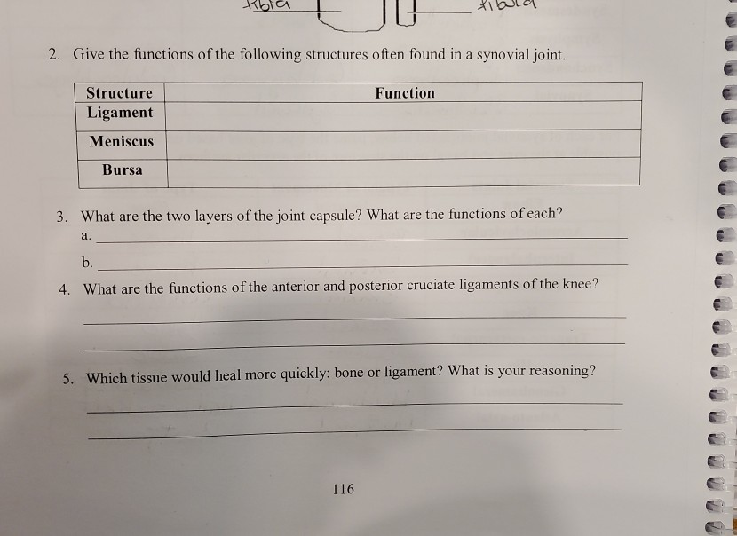 Solved tibla bla + 1 + fibula ibara 2. Give the functions of | Chegg.com